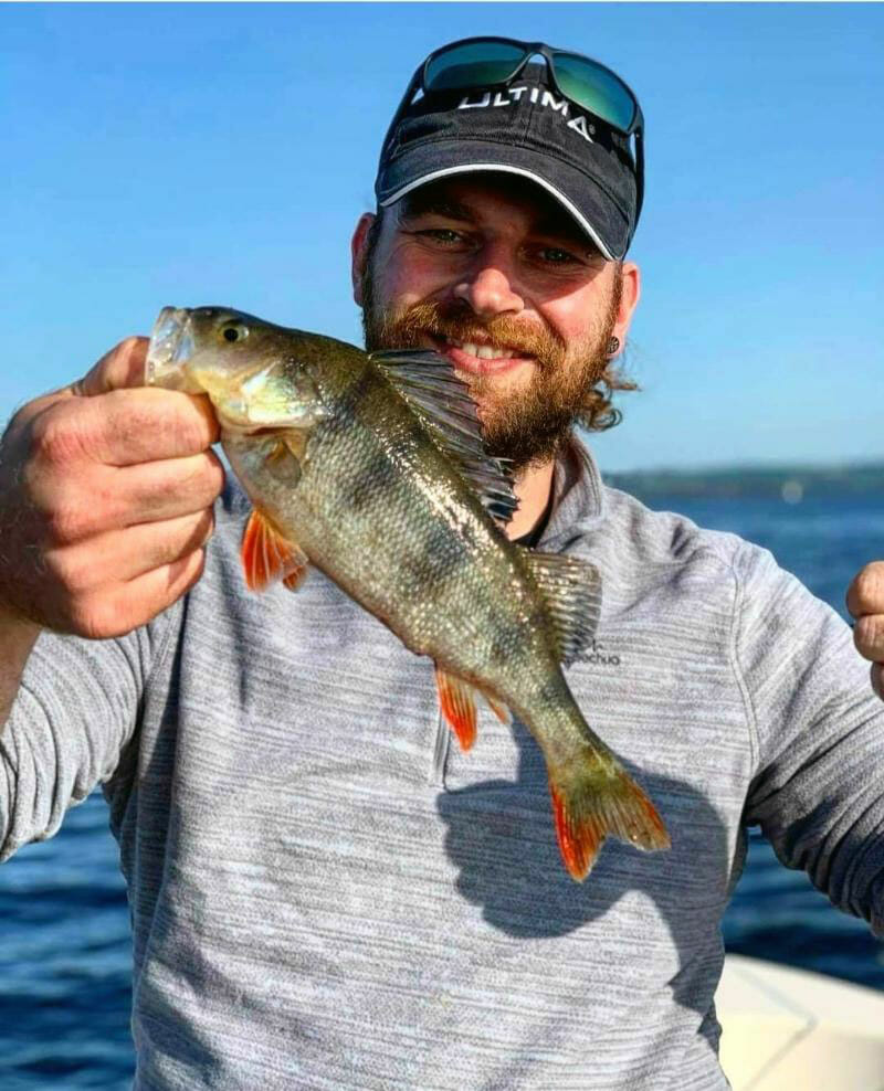 Il persico reale - Scopriamo chi è e come si pesca il persico - Pesca ...