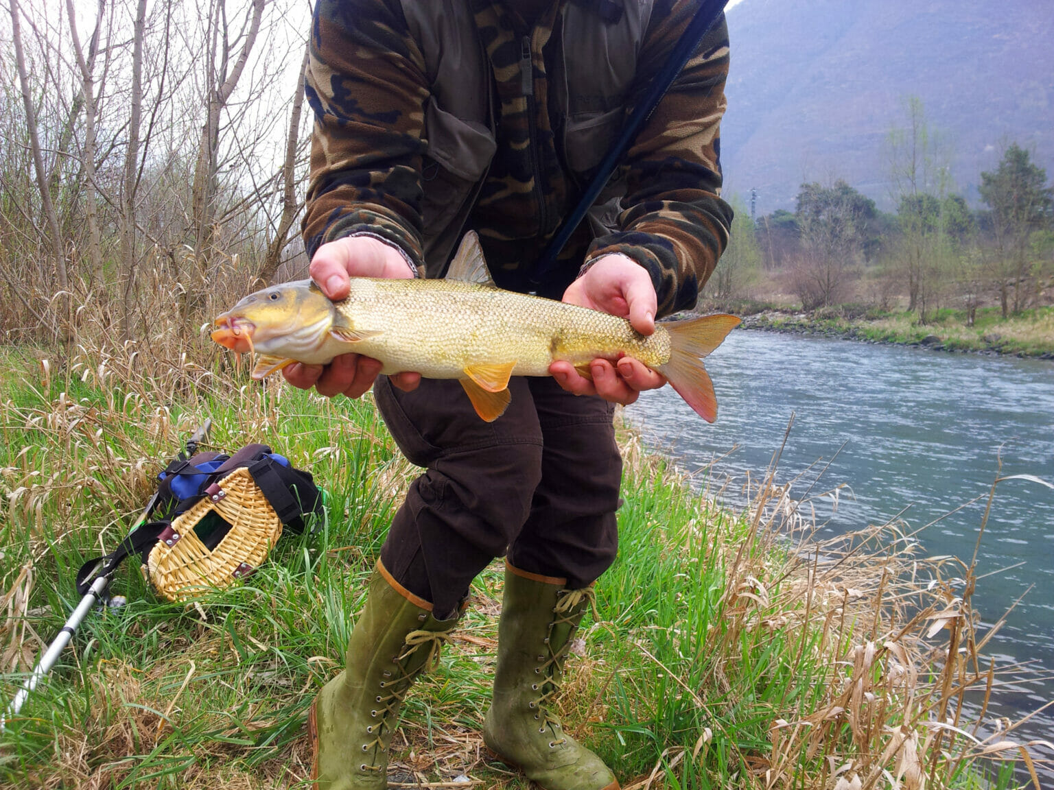 Il barbo - Tecniche, esche, curiosità su questo ciprinide - Pesca Facile