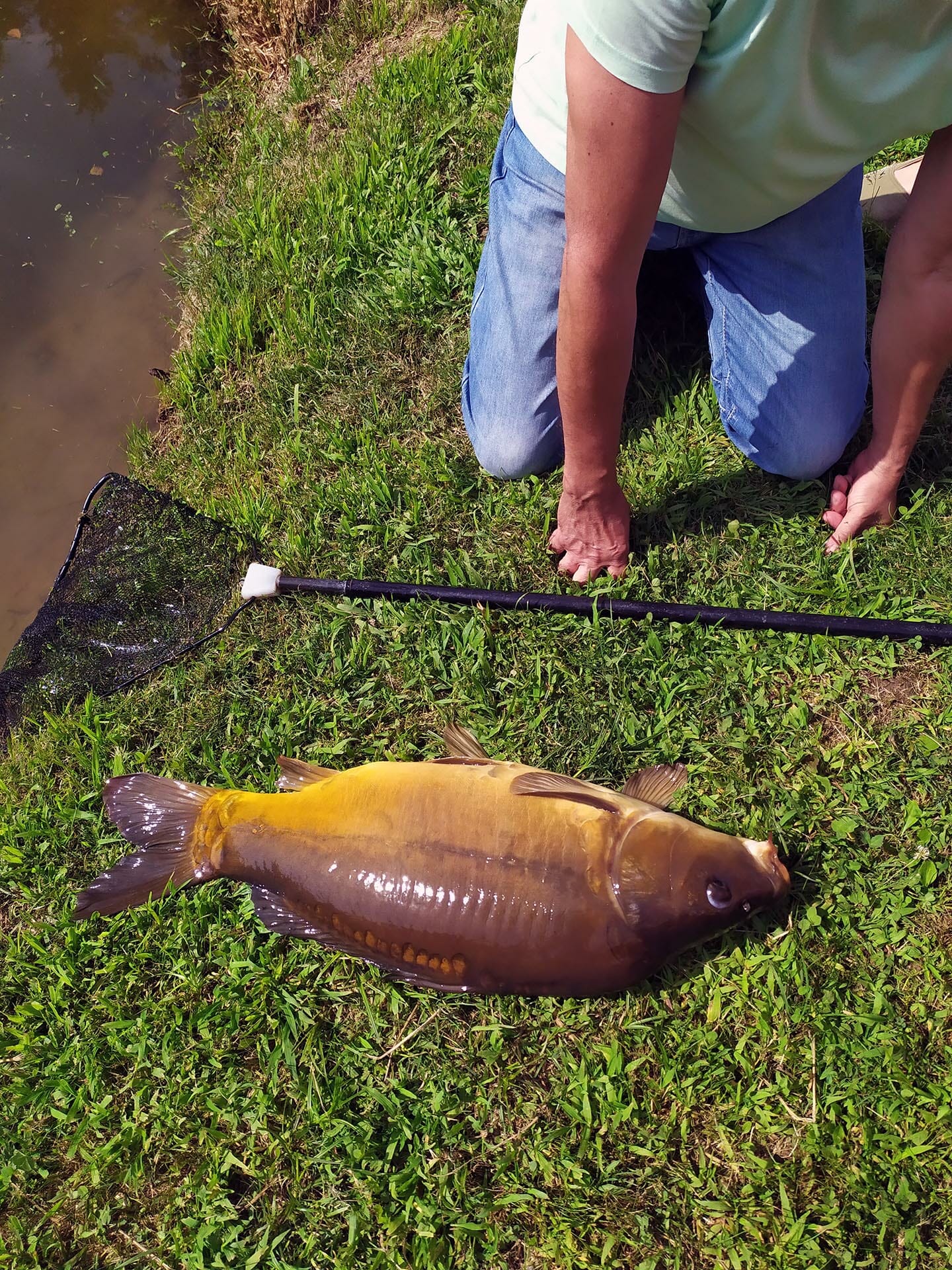 Laghetto Green Village - Pesca Facile
